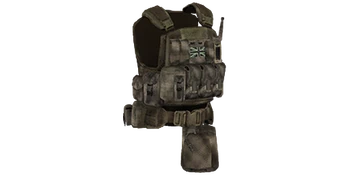 CTRG Plate Carrier Rig (Western Sahara) | Armed Assault Wiki | Fandom