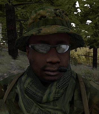 Patrick Miles | Armed Assault Wiki | Fandom