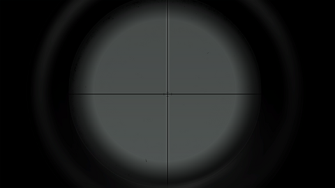 XM21 (S.O.G.) | Armed Assault Wiki | Fandom