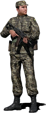 C.D.F. | ArmA: Armed Assault Wiki | Fandom