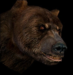 Dire Bear | Armies of Exigo Wiki | Fandom