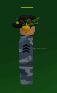 Rank 3 | Armored Patrol Wiki | Fandom