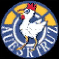 Carson | Armored Core Wiki | Fandom