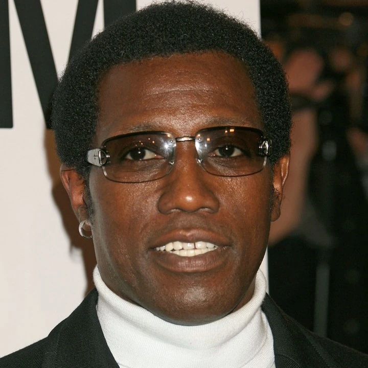 Wesley Snipes | Armored Heroes Wiki | Fandom
