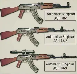 ASh-78 | Waffen Wiki | Fandom