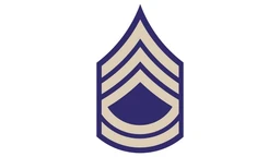 Second Sergeant | Army Ranks Wiki | Fandom