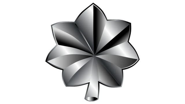 Lieutenant Colonel | Army Ranks Wiki | Fandom