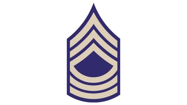 First Sergeant | Army Ranks Wiki | Fandom