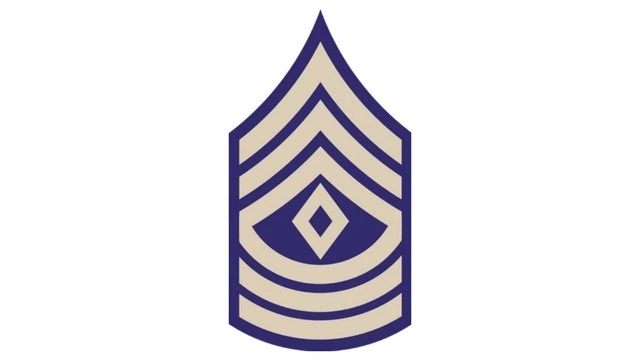 Master Sergeant | Army Ranks Wiki | Fandom