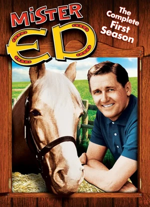 Anexo: Mr. Ed - 1ª temp. | Wiki Arpaestelar | Fandom