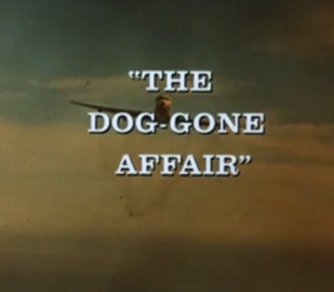 La chica de Cipol - Epis. 01 | Wiki Arpaestelar | Fandom