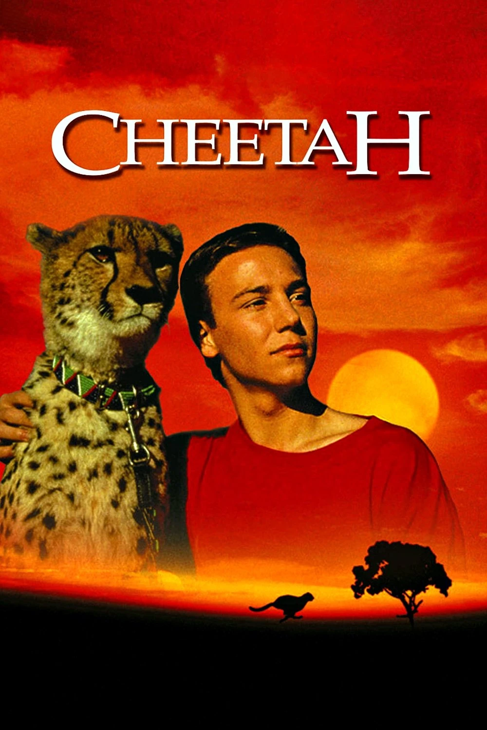 Cheetah | Arquivo Disney Channel Portugal Wiki | Fandom