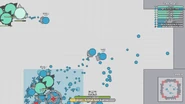 Bob | Arras.io Wiki | Fandom