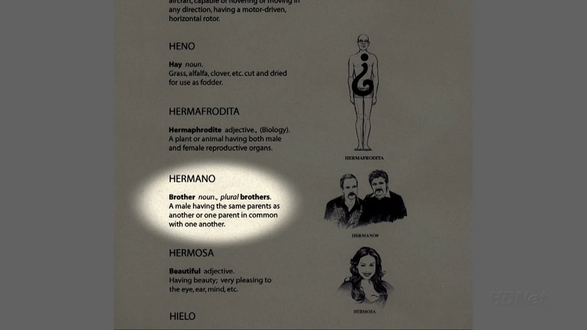 Hermano | Arrested Development Wiki | Fandom