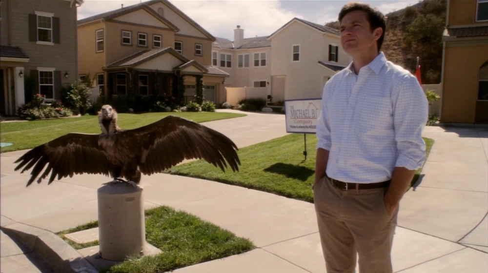 Birds | Arrested Development Wiki | Fandom