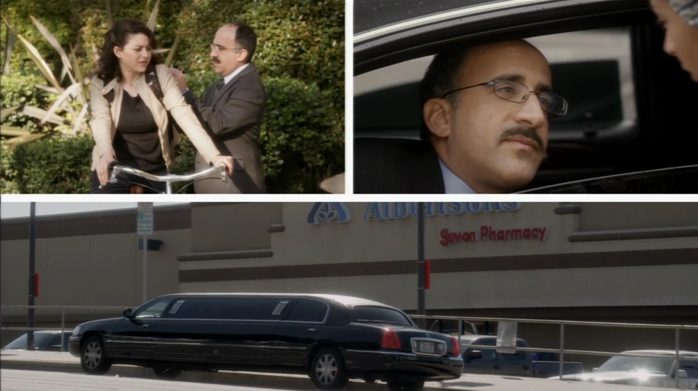 Prostitution | Arrested Development Wiki | Fandom