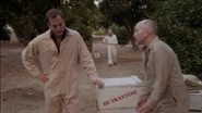 Bees | Arrested Development Wiki | Fandom