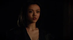 Tatsu Yamashiro (Multiverse) | Arrow Fanon Wiki | Fandom