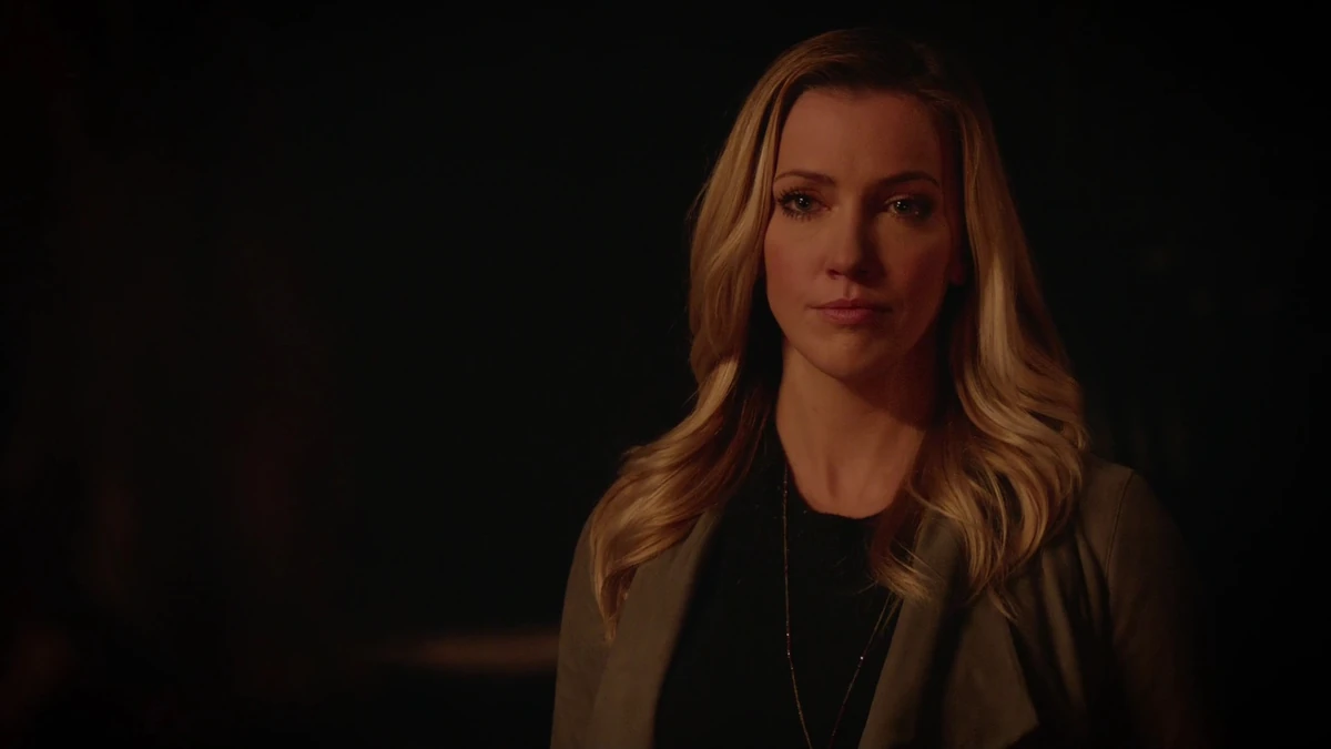 Laurel Lance (Earth Twenty) | Arrow Fanon Wiki | Fandom