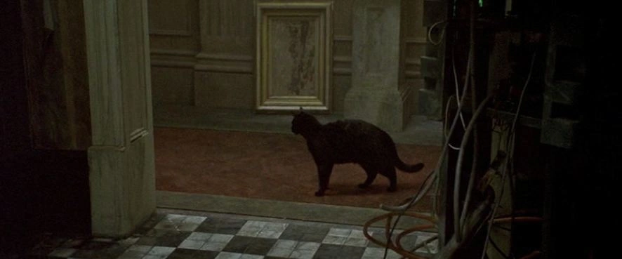 Simon | Arrow Fanon Wiki | Fandom