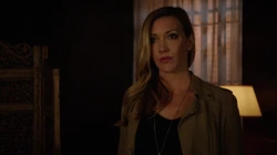 Laurel Lance (Earth-1) | Arrow Fanon Wiki | Fandom