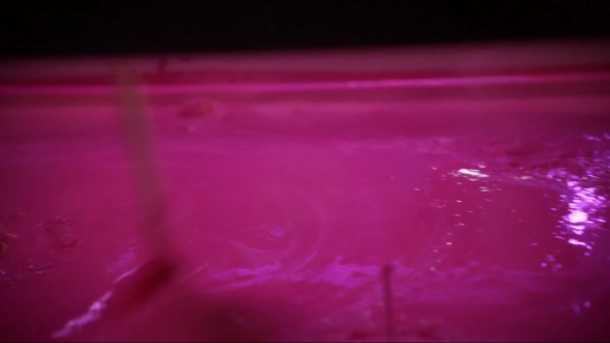 Axid | Wiki ARROW France | Fandom