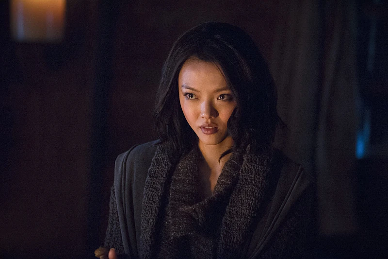 Tatsu Yamashiro | Wiki ARROW France | Fandom