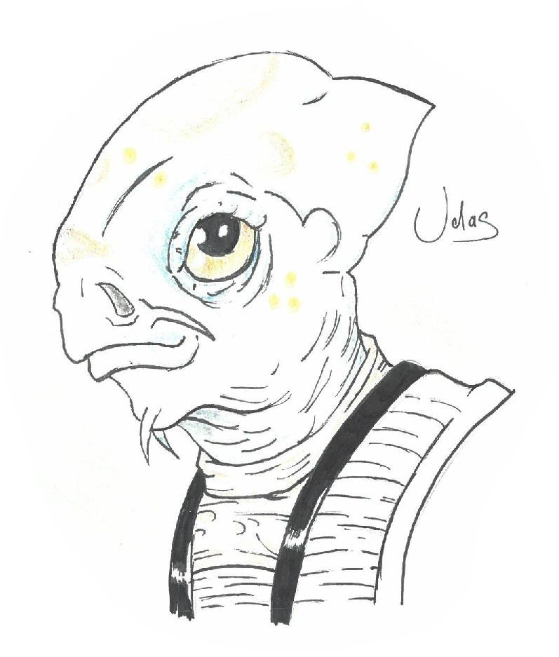 Udas | Arrow Squadron Wiki | Fandom