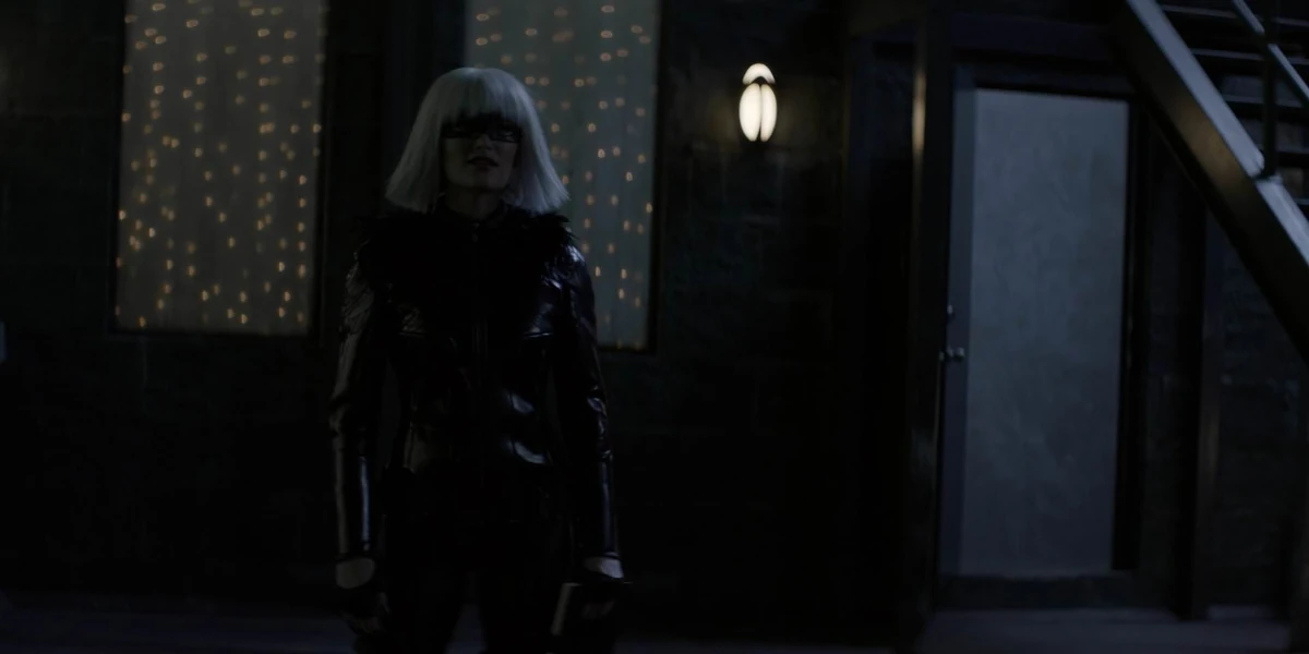 Magpie suit (Earth-Prime) | Arrowverse Wiki | Fandom