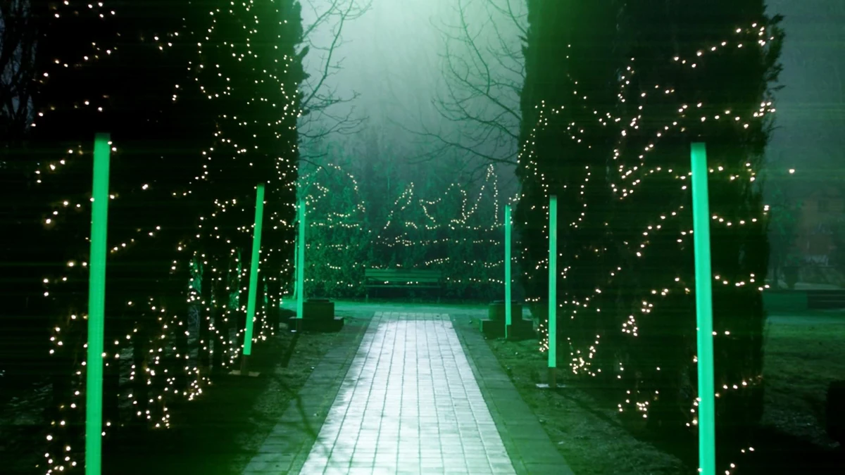 Still Force | Arrowverse Wiki | Fandom