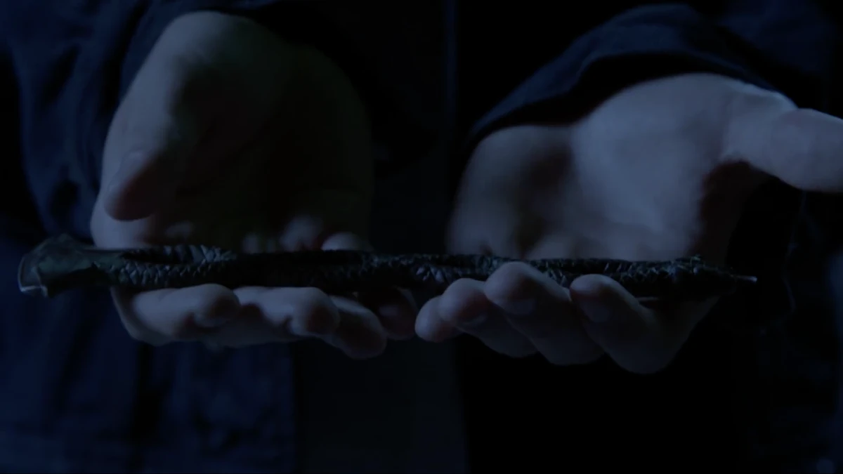 Kusa | Arrowverse Wiki | Fandom