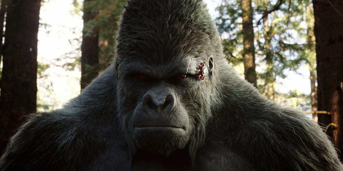 Grodd | Arrowverso Wiki | Fandom