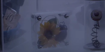 Acid flower | Arrowverse Wiki | Fandom