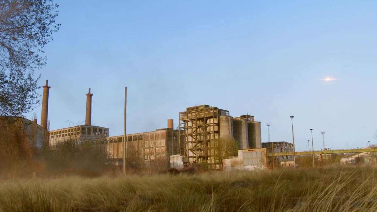 Earth-74 | Arrowverse Wiki | Fandom