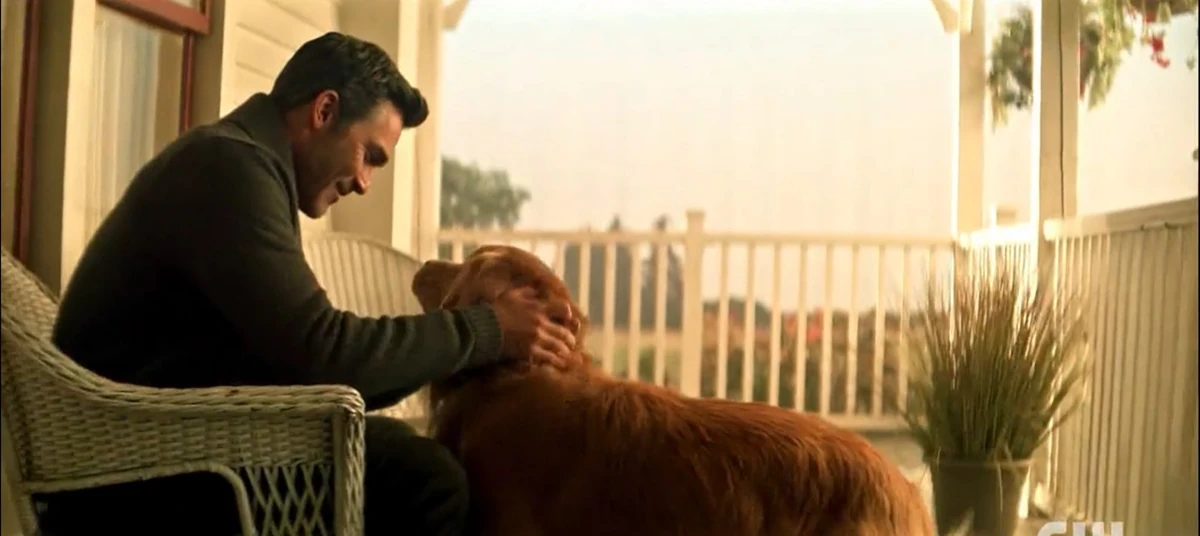 Dogs | Arrowverse Wiki | Fandom