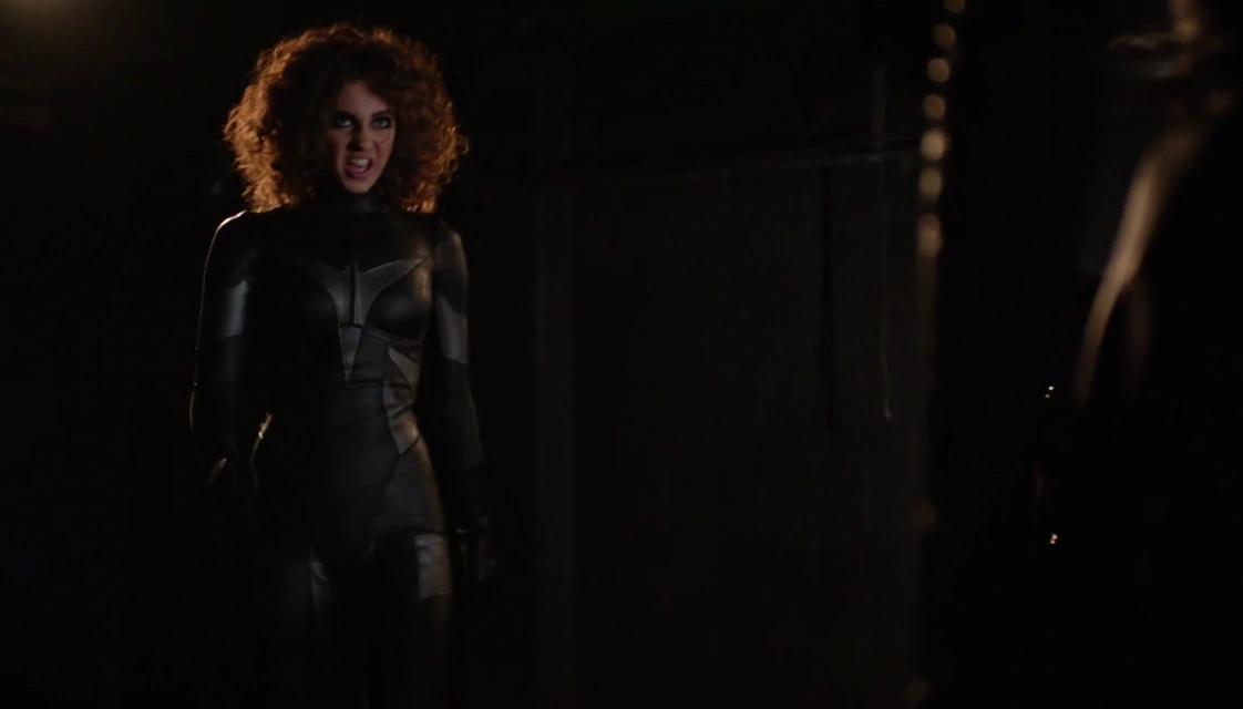 Shadow Thief suit | Arrowverse Wiki | Fandom