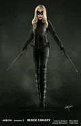 Laurel Lance (Earth-1) | Arrowverse Wiki | Fandom
