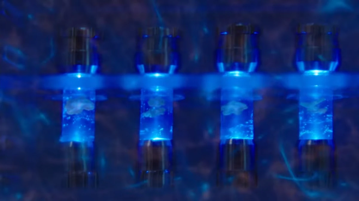 Cura meta-humana (Terra-Prime) | Arrowverso Wiki | Fandom