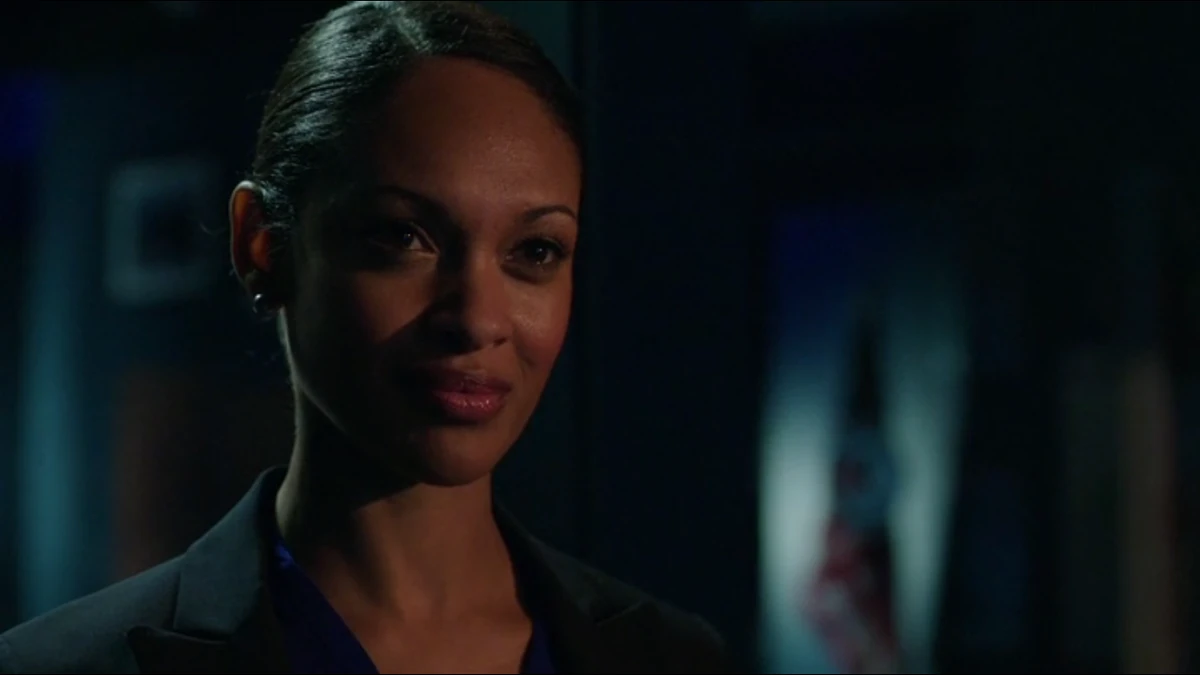 Amanda Waller | Wiki Arrowverso | Fandom