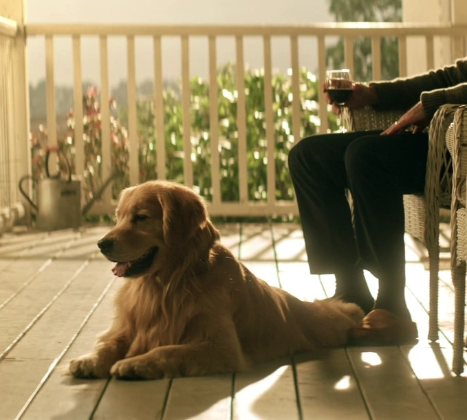 Krypto (Tierra-TUD25) | Wiki Arrowverso | Fandom