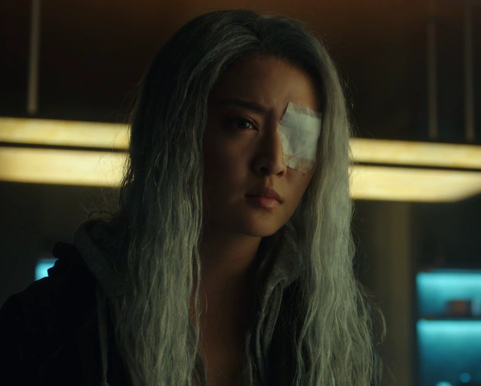 Rose Wilson | Wiki Arrowverso | Fandom