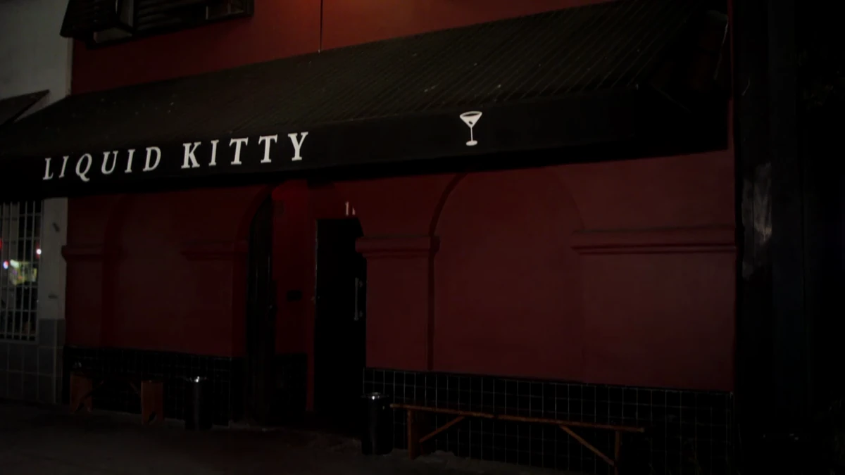 Liquid Kitty | Arrowverse Wiki | Fandom