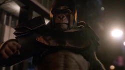 Solovar | Wiki Arrowverso | Fandom