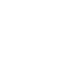 Team Y | Arrow's Nice Object Show Wiki | Fandom