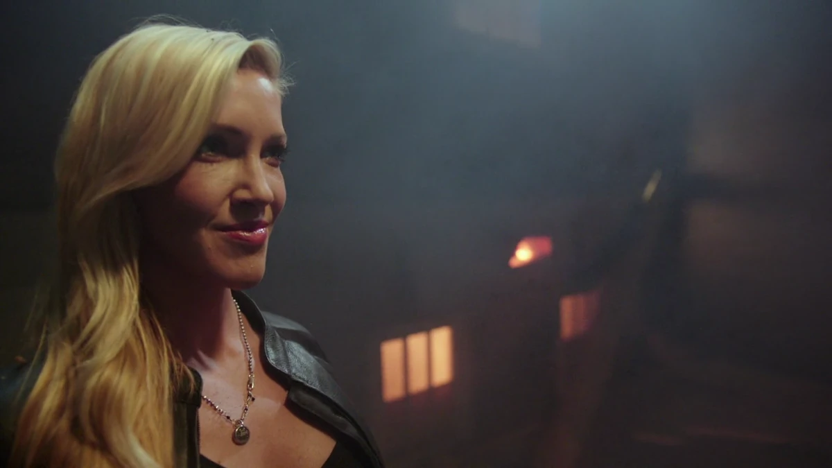 Laurel Lance (Earth-2) | Arrowverserewrite Wiki | Fandom