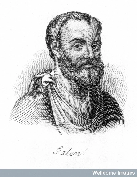 Galeno | Ars curandi Wiki | Fandom