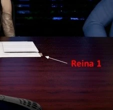 Reina Leaks | Artemis fan Wiki | Fandom