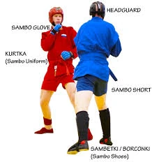 Sambo | Artes marciales sebas Wiki | Fandom