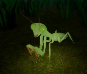 European Mantis | Arthroworld Wiki | Fandom