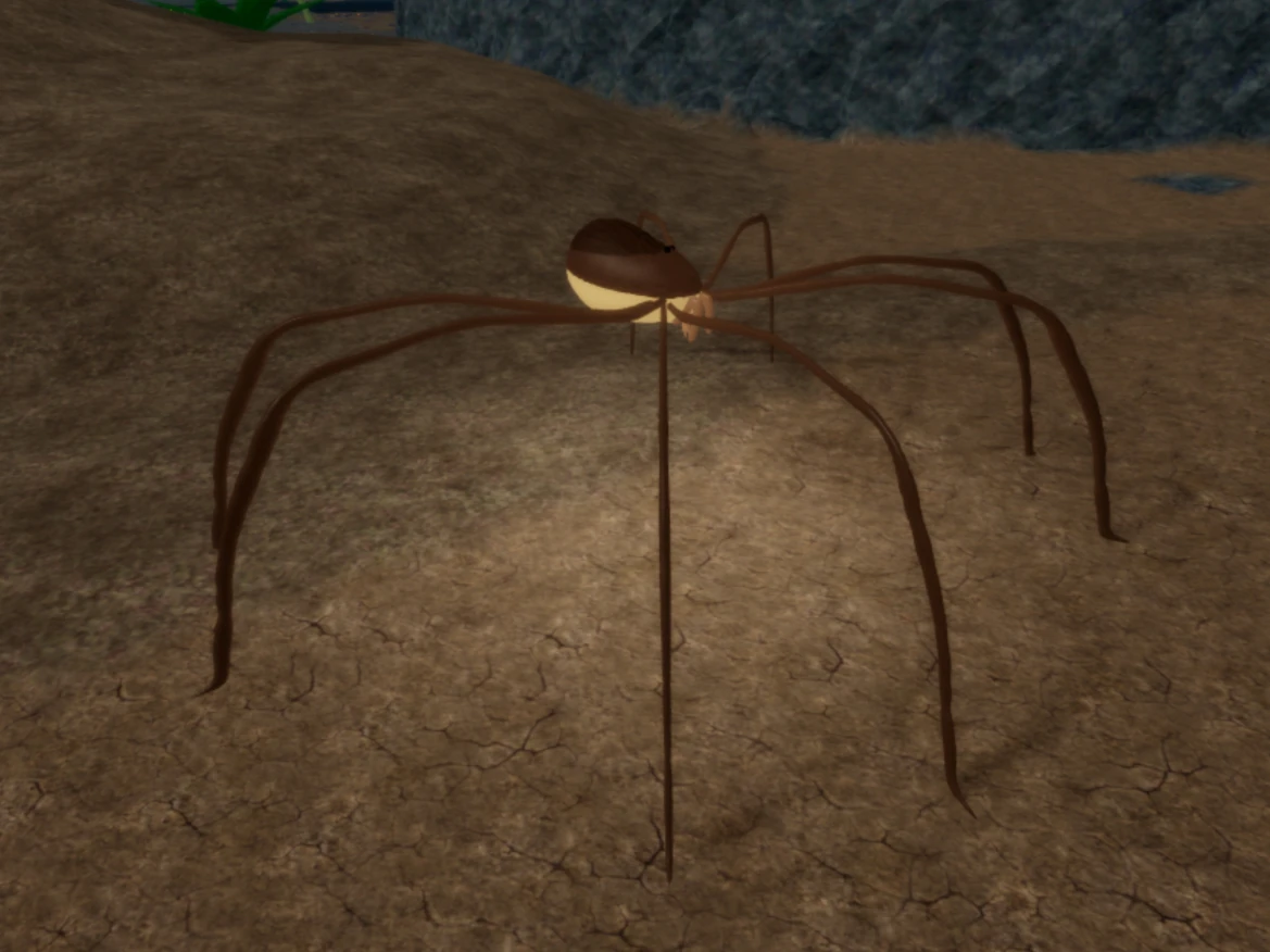 Harvestman | Arthroworld Wiki | Fandom